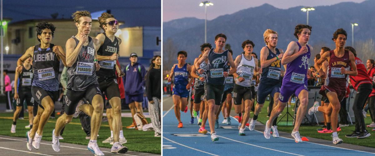 Finished Results - Article